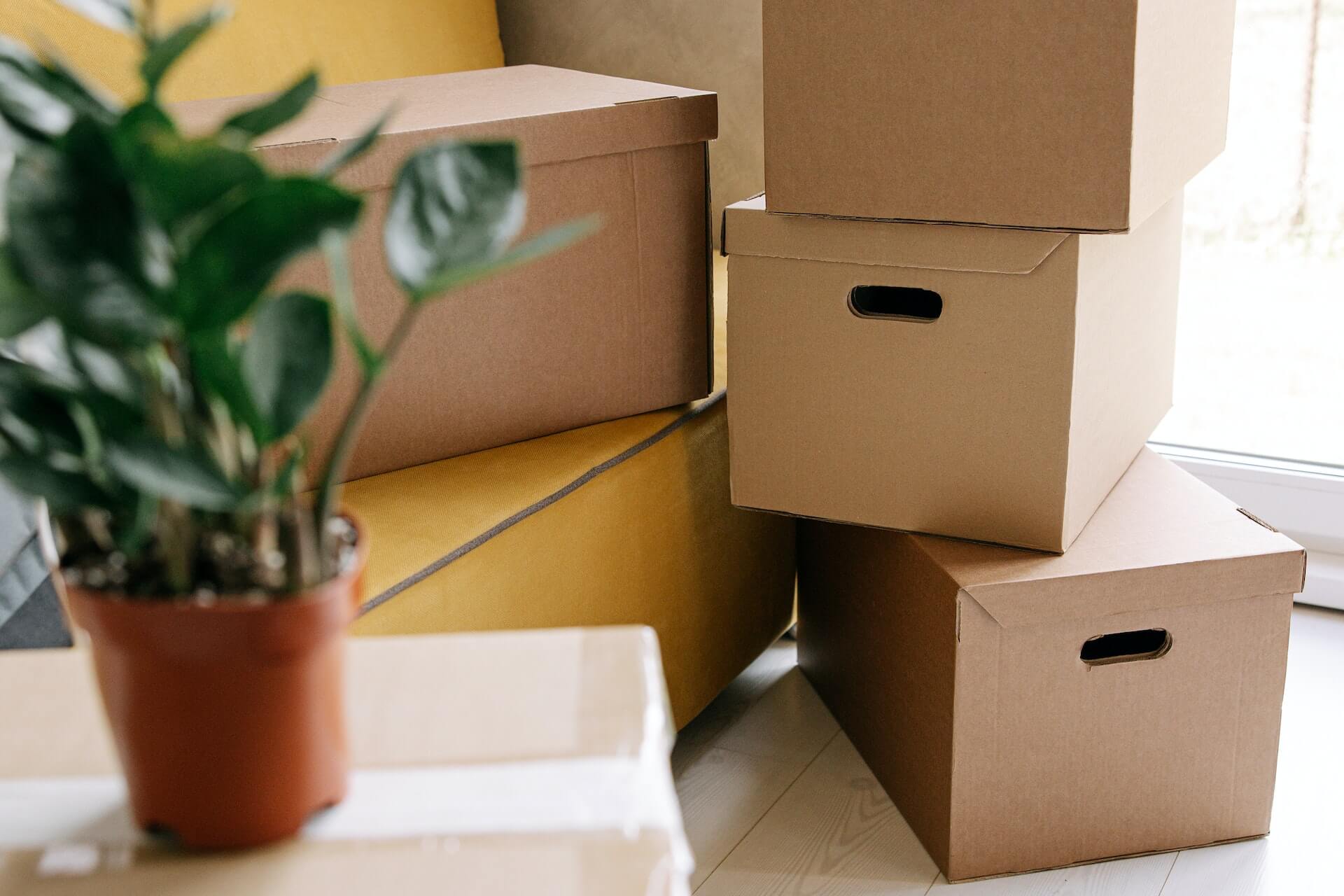 The Commercial Lease: Essential And Favourable Terms For Tenants